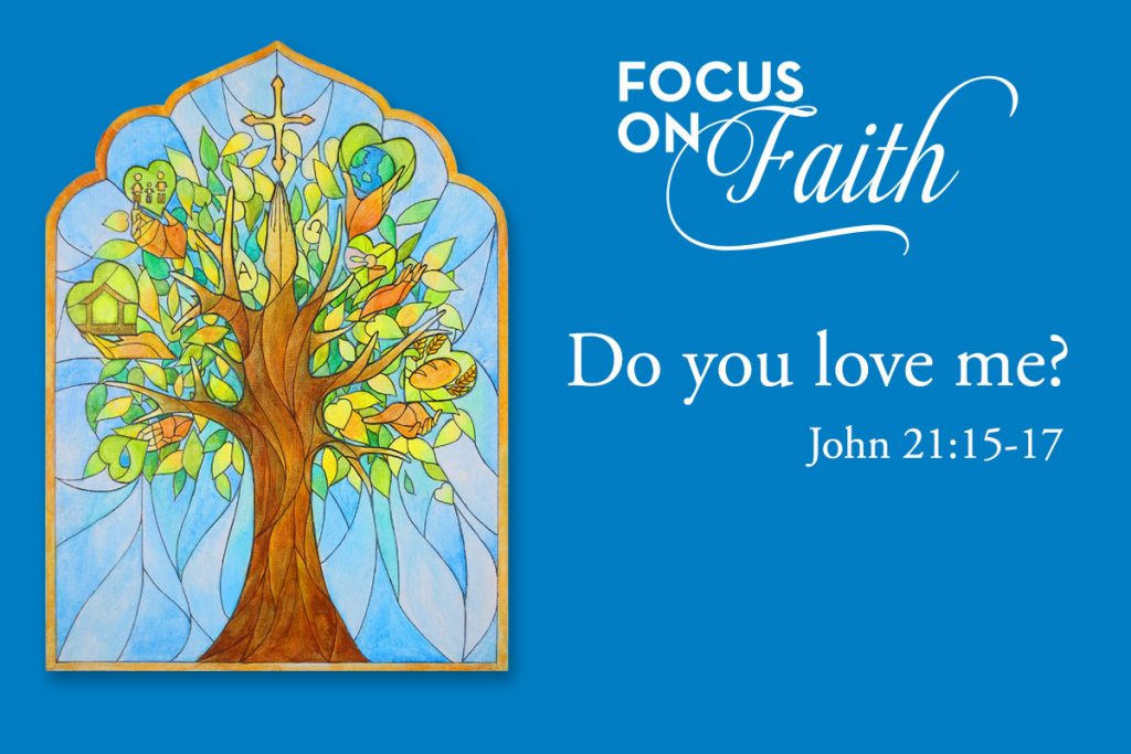 St. John Catholic Elementary School | Oakville, ON » Focus on Faith ...