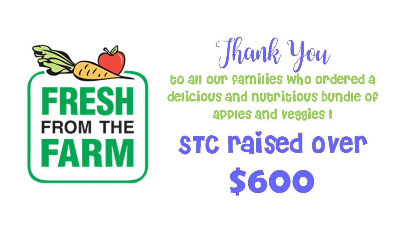 St. Teresa of Calcutta Catholic Elementary School | Oakville, ON ...