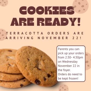 St. Teresa of Calcutta Catholic Elementary School | Oakville, ON ...